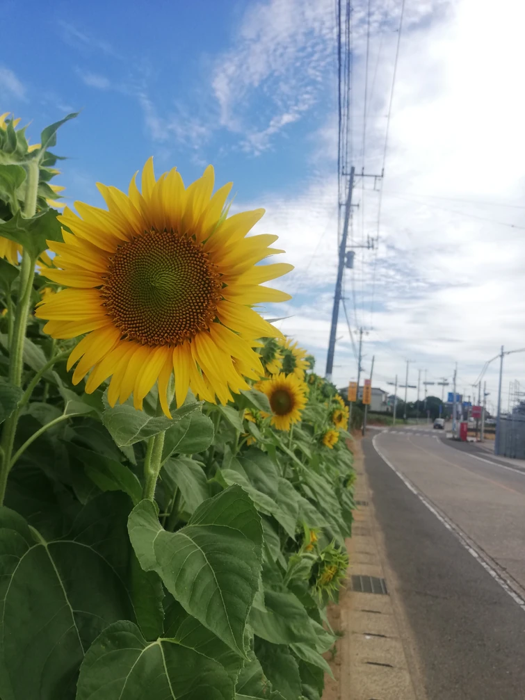 Funny or interesting illustrations August 4, 2023: Let's fun&read MANGAs and my summer travel ...