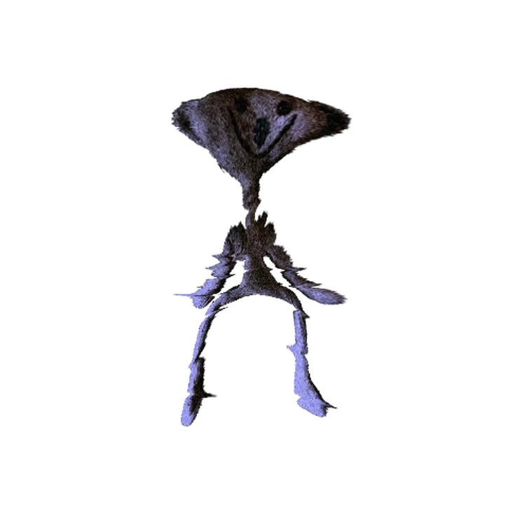 I made a goober, meet donk | Fandom