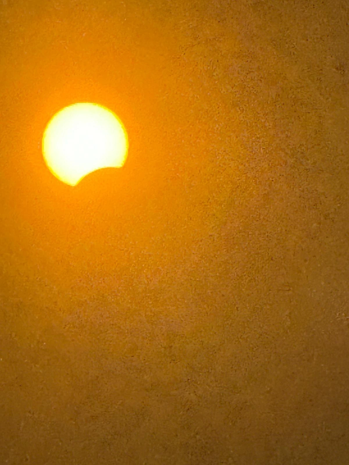 Some pics of the eclipse I took | Fandom