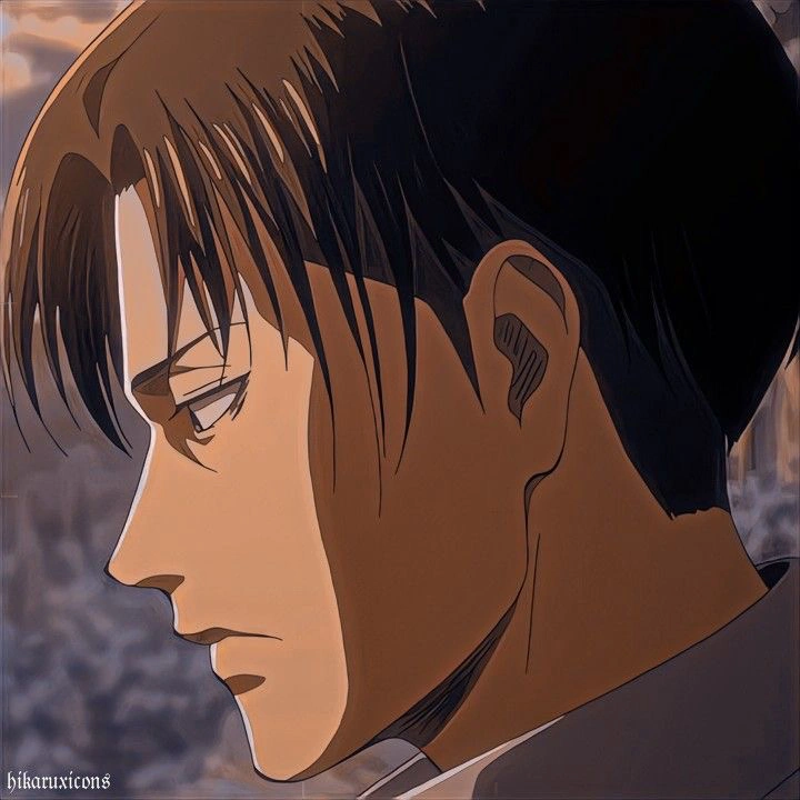 Happy Birthday Captain Levi | Fandom
