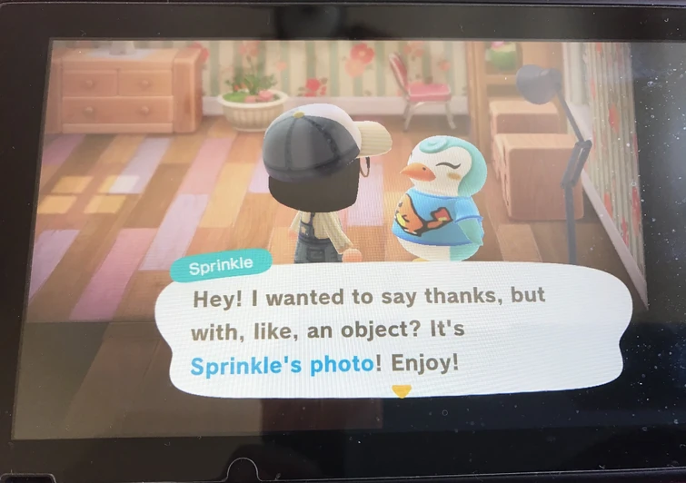 Discuss Everything About Animal Crossing Wiki | Fandom