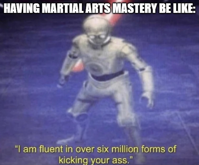 master of every single martial arts. Meme I Made | Fandom