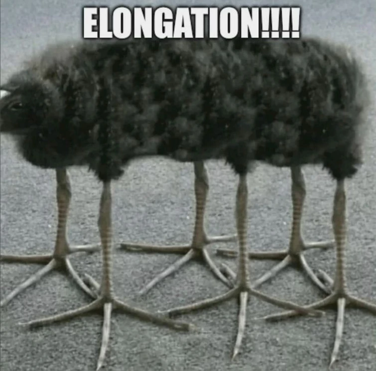 DAMN!!!!! image dump 2 | Fandom