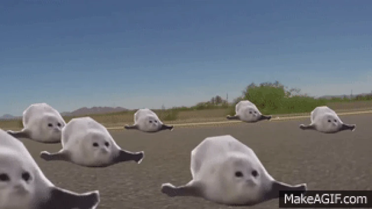 Random Question... | Fandom