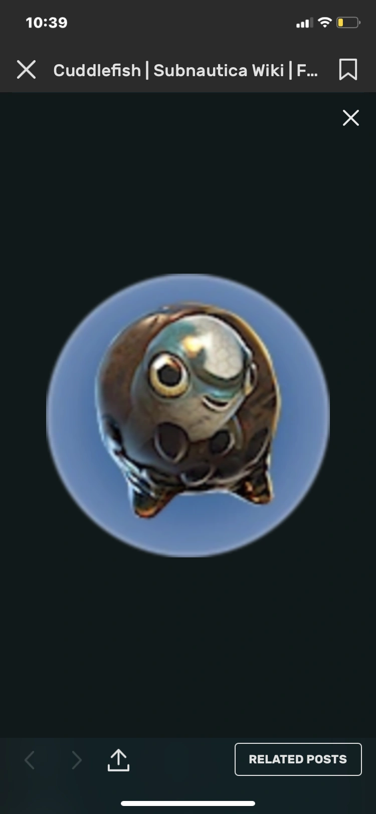 Cuddlefish meme | Fandom