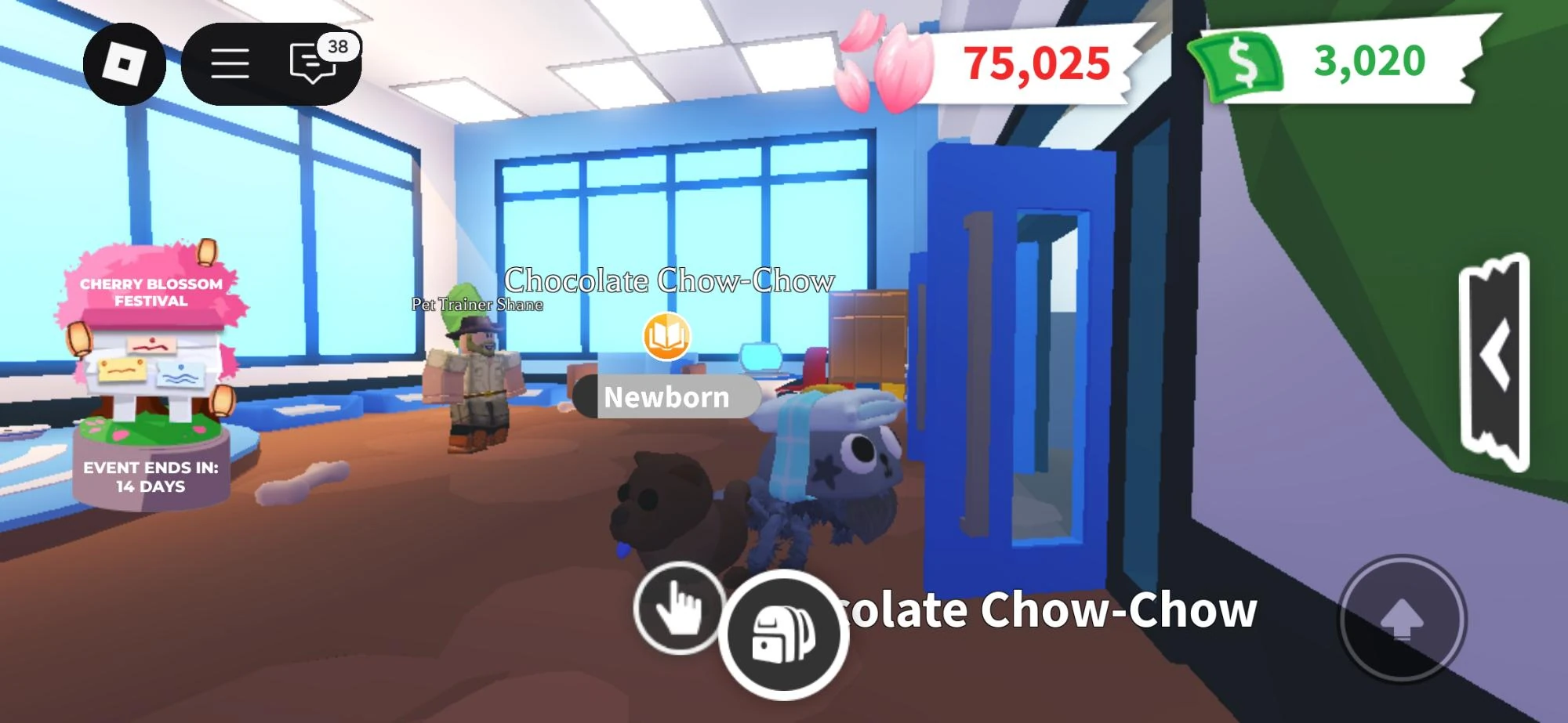 Got one of my dream pets | Fandom