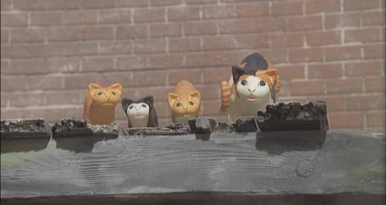 Gatos in Thomas look funni | Fandom