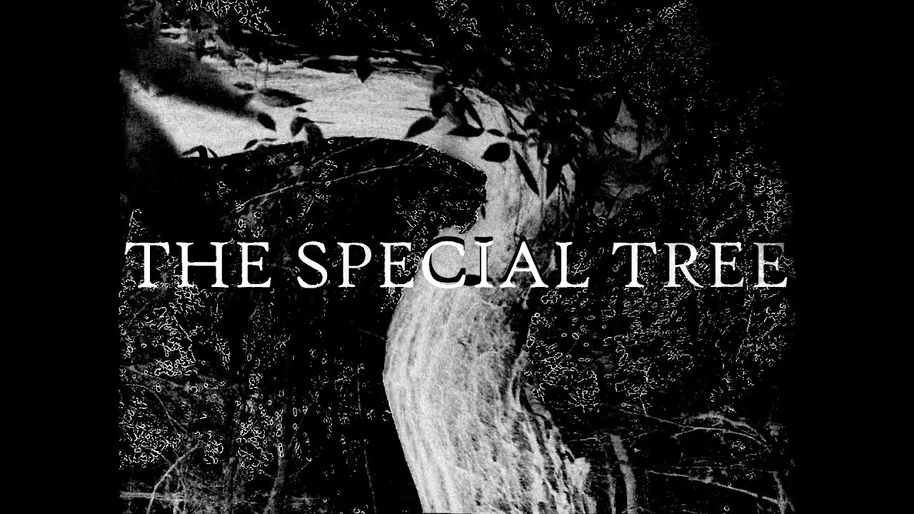 The Special Tree - Monument Mythos | Fandom