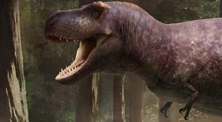 Simosuchus vs All Dinosaurs | Fandom