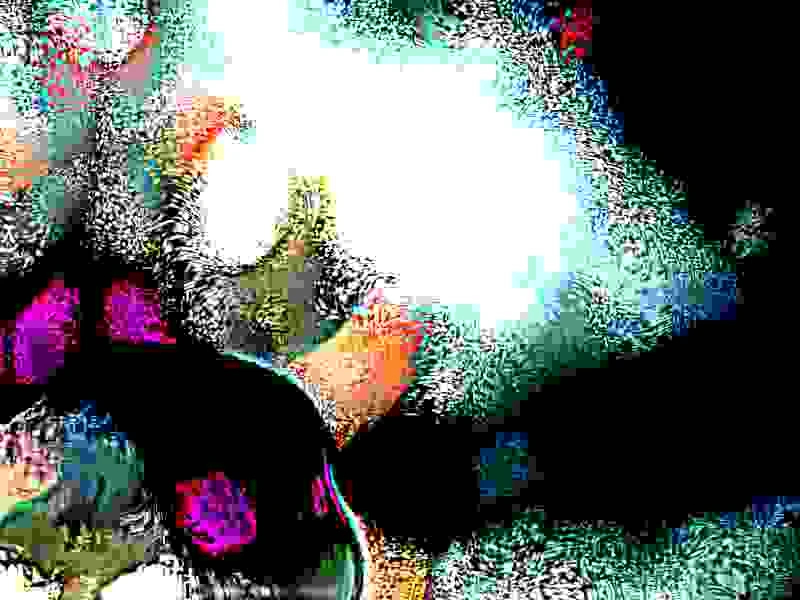 miss you | Fandom