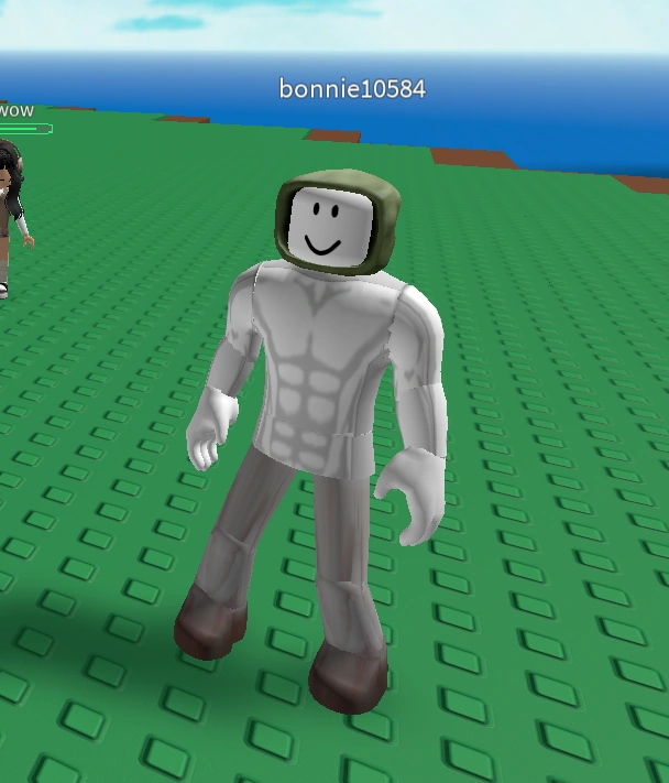 Normal NDS players: | Fandom