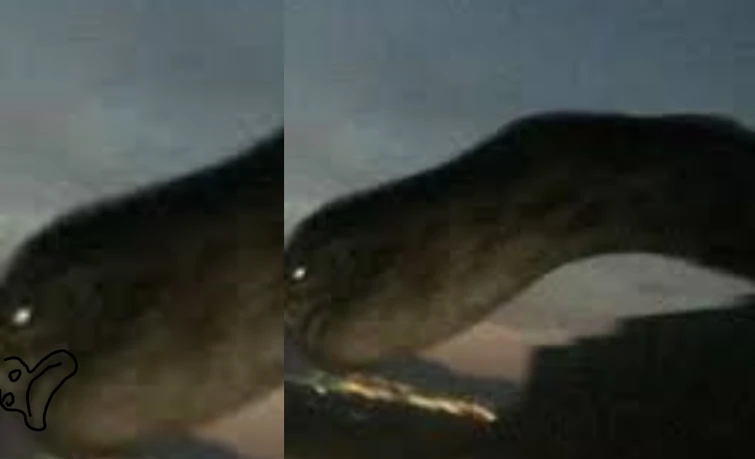 Not sure if u guys noticed (pretty sure y'all did) | Fandom