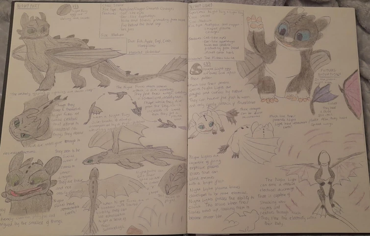 Discuss Everything About How to Train Your Dragon Wiki | Fandom