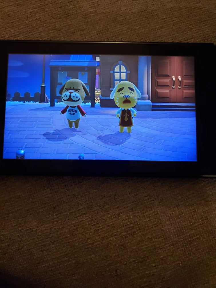 Discuss Everything About Animal Crossing Wiki | Fandom