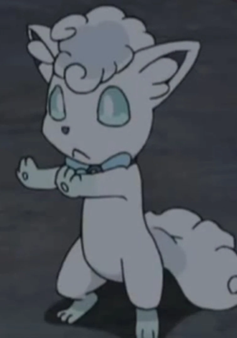 Random Pokémon Anime Screenshots | Fandom