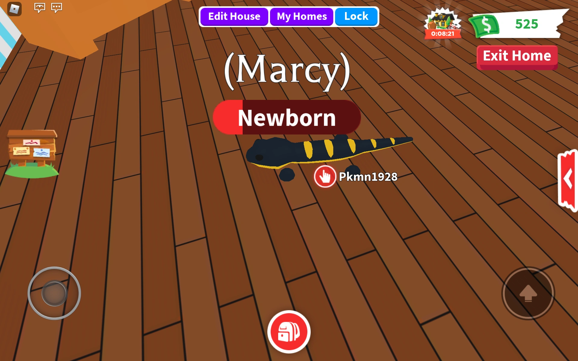 I got a salamander in Adopt me and I named her after Marcy ╰( ･ ᗜ ...