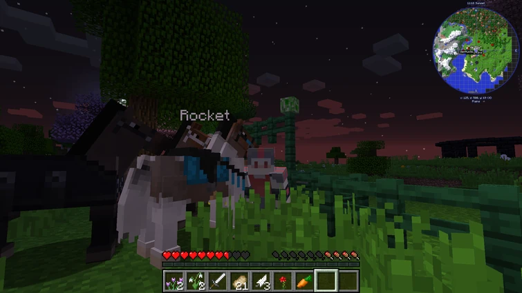 just on minecraft java and someone named a horse rocket so | Fandom