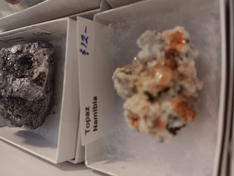 Discuss Everything About Catch! Teenieping Wiki | Fandom