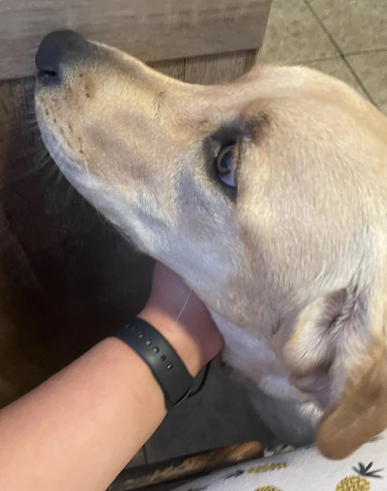 Random song thread | Fandom