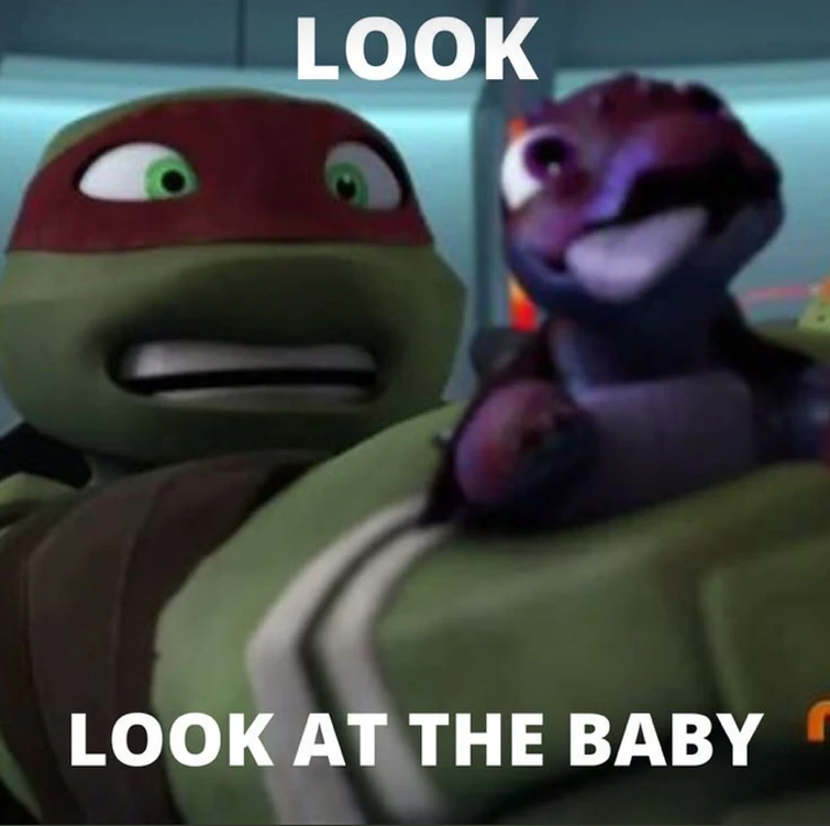 TMNT Meme Of The Day | Fandom