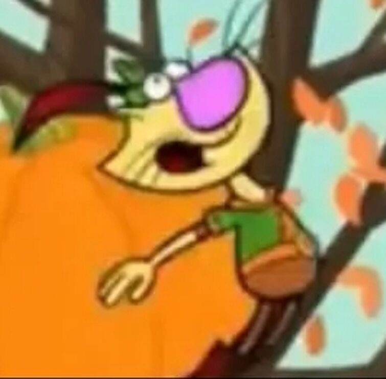 Discuss Everything About Nature Cat Wikia | Fandom