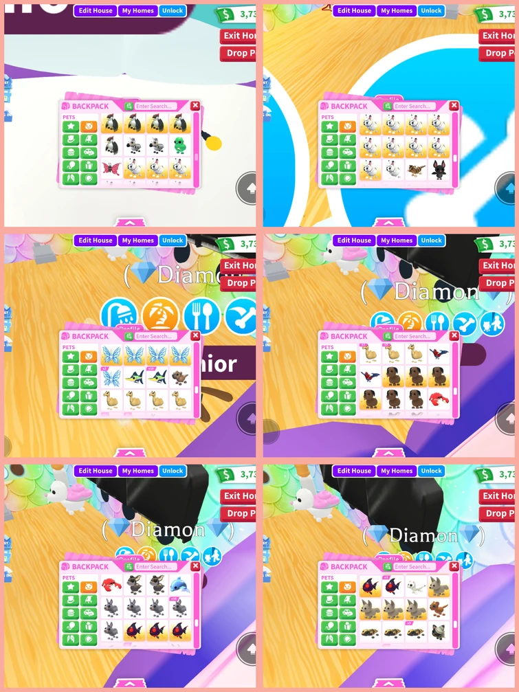 Discuss Everything About Adopt Me! Wiki | Fandom