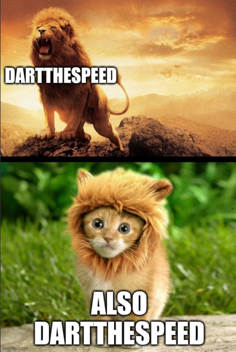 next batch of wikiian memes | Fandom