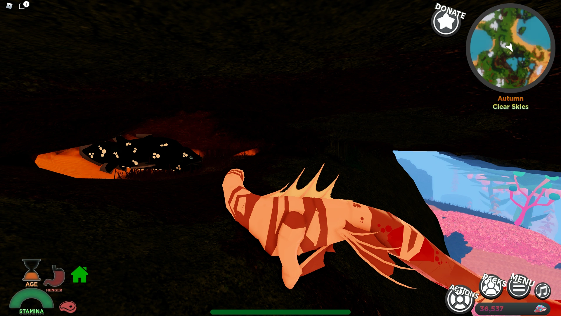 The afraid fish | Fandom