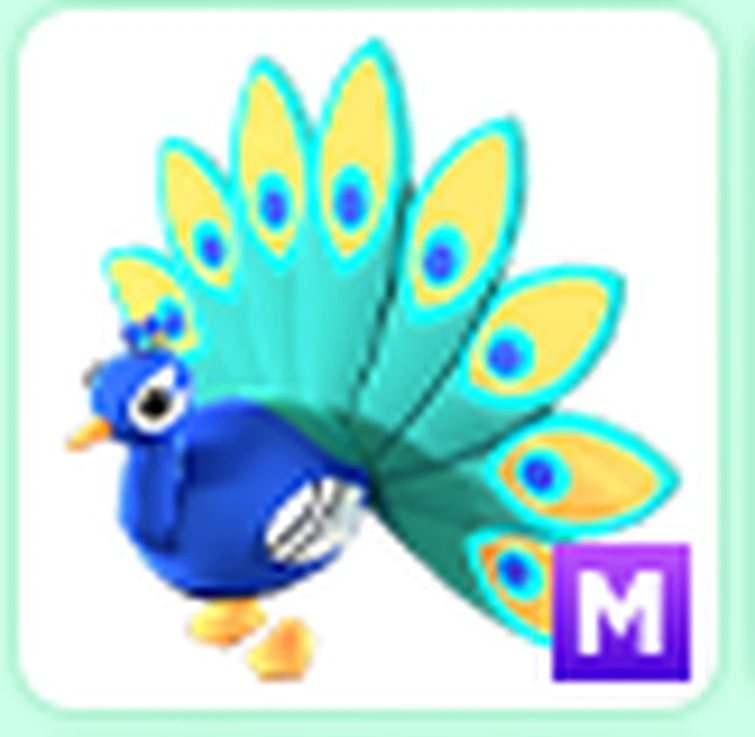 Mega peacock complete! ^^ 🦚🦚🦚 | Fandom