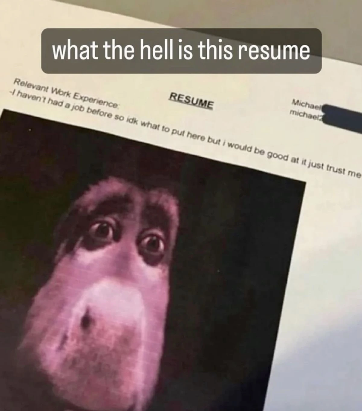 restraining myself from making a jill post currently | Fandom