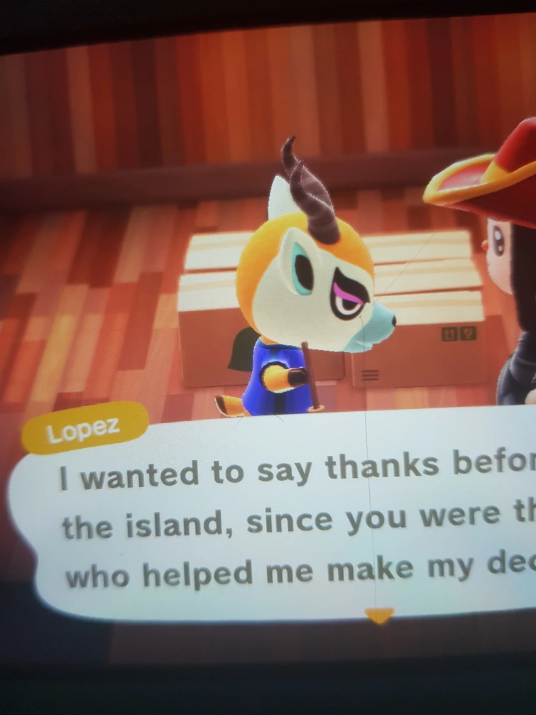 Discuss Everything About Animal Crossing Wiki | Fandom