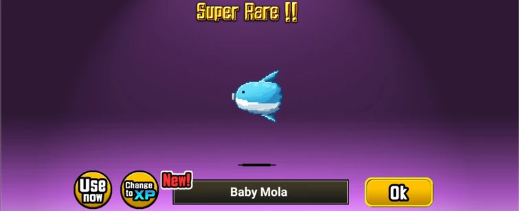 baby mola (aka. glass cannon dragon cat) | Fandom