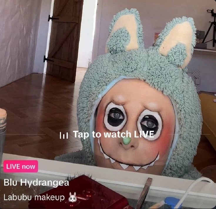 Labubu makeup🐰 | Fandom