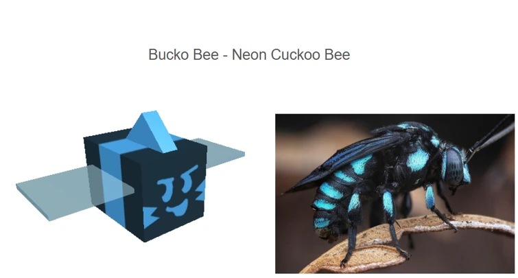 BSS Bees and their irl counterparts! Epics :) | Fandom