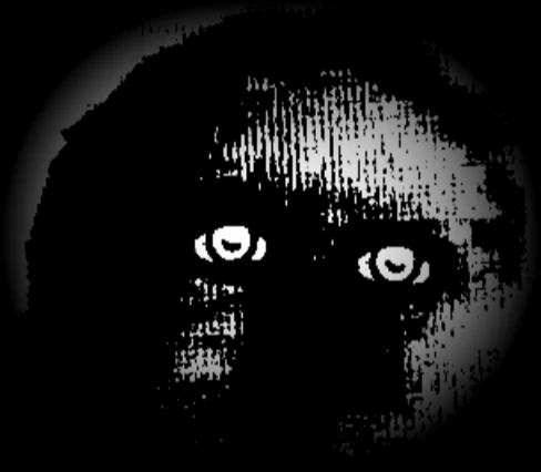 Phase 19+190 | Fandom