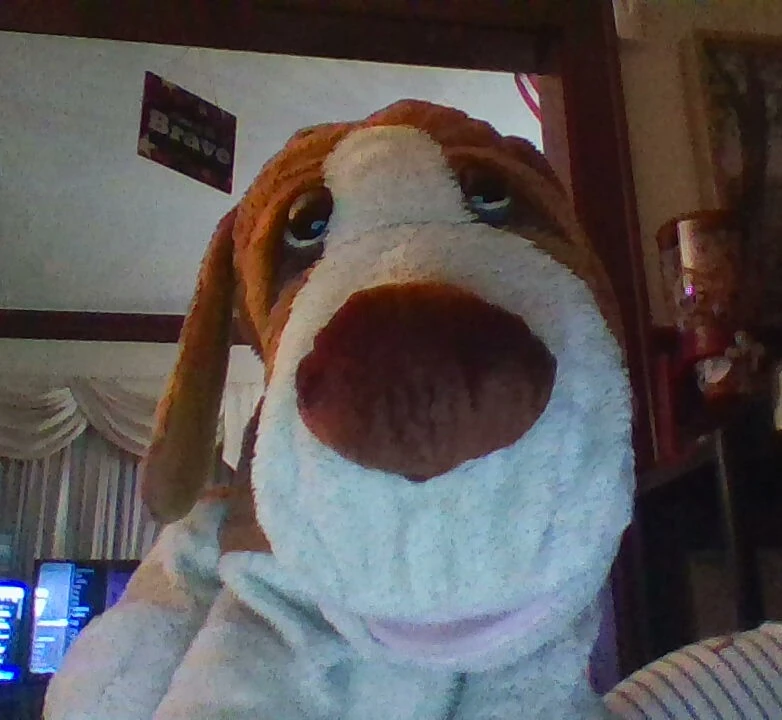 woof | Fandom