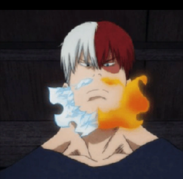 Would Shoto ever get a real Hero Name? | Fandom