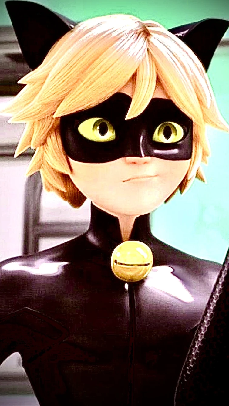 Cat noir edits | Fandom