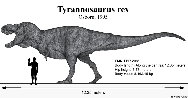 Species Profile | Fandom