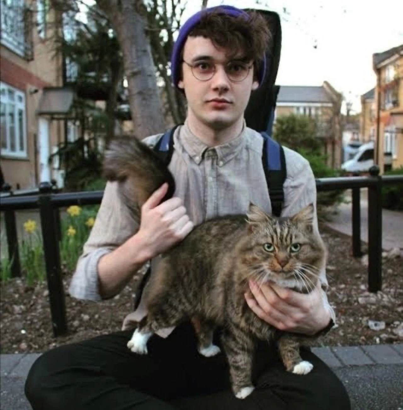 WILBUR WITH CATS | Fandom