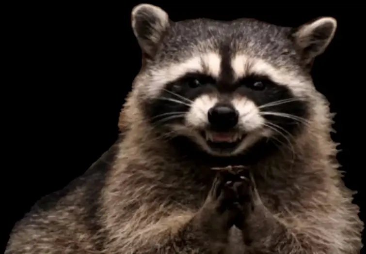 uzi infodumping | Fandom