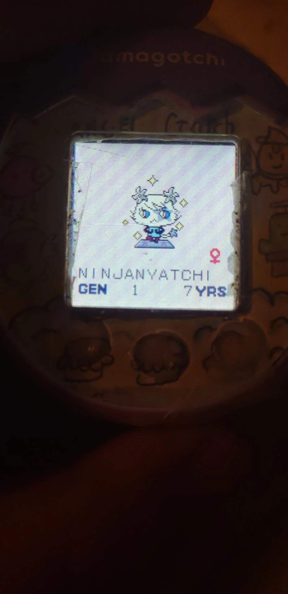 Ninjanyatchi left! | Fandom