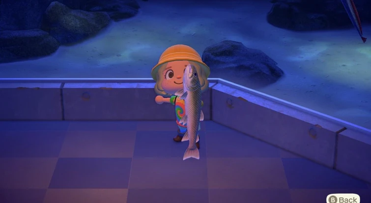 Discuss Everything About Animal Crossing Wiki | Fandom