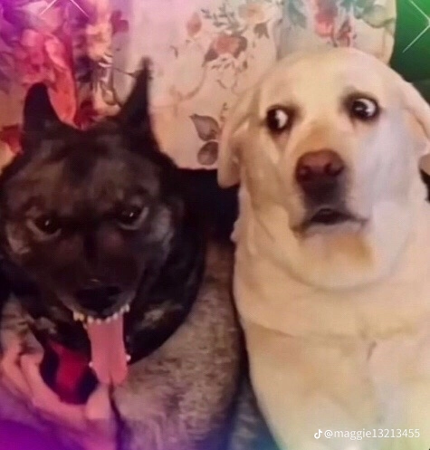 Can someone send me a link to the official sprunki discord server? | Fandom