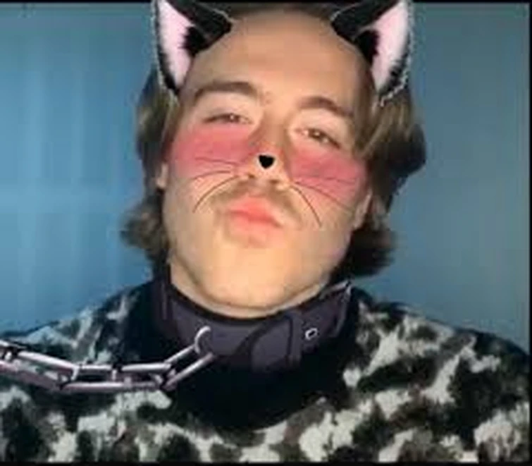 Pfp poll ;-; | Fandom