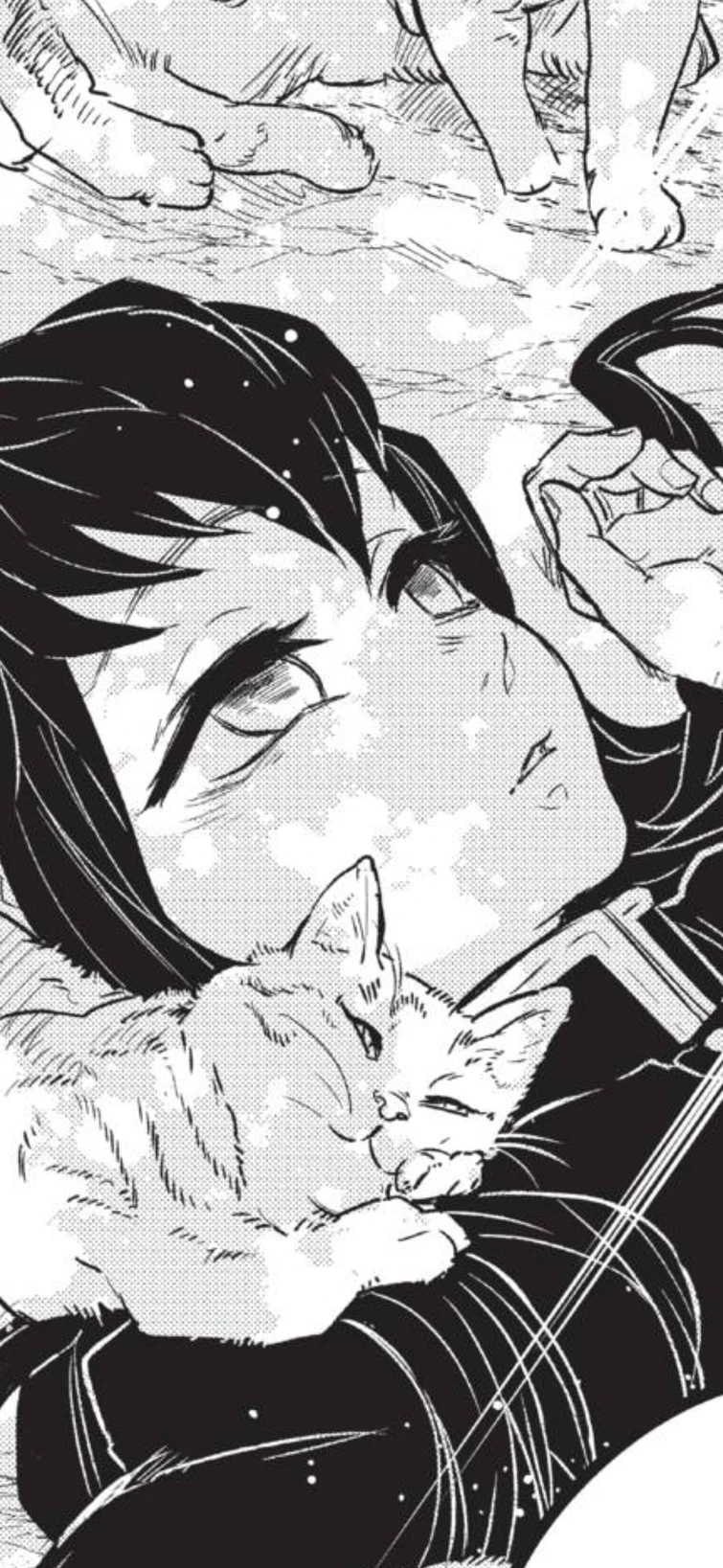 Nice images | Fandom