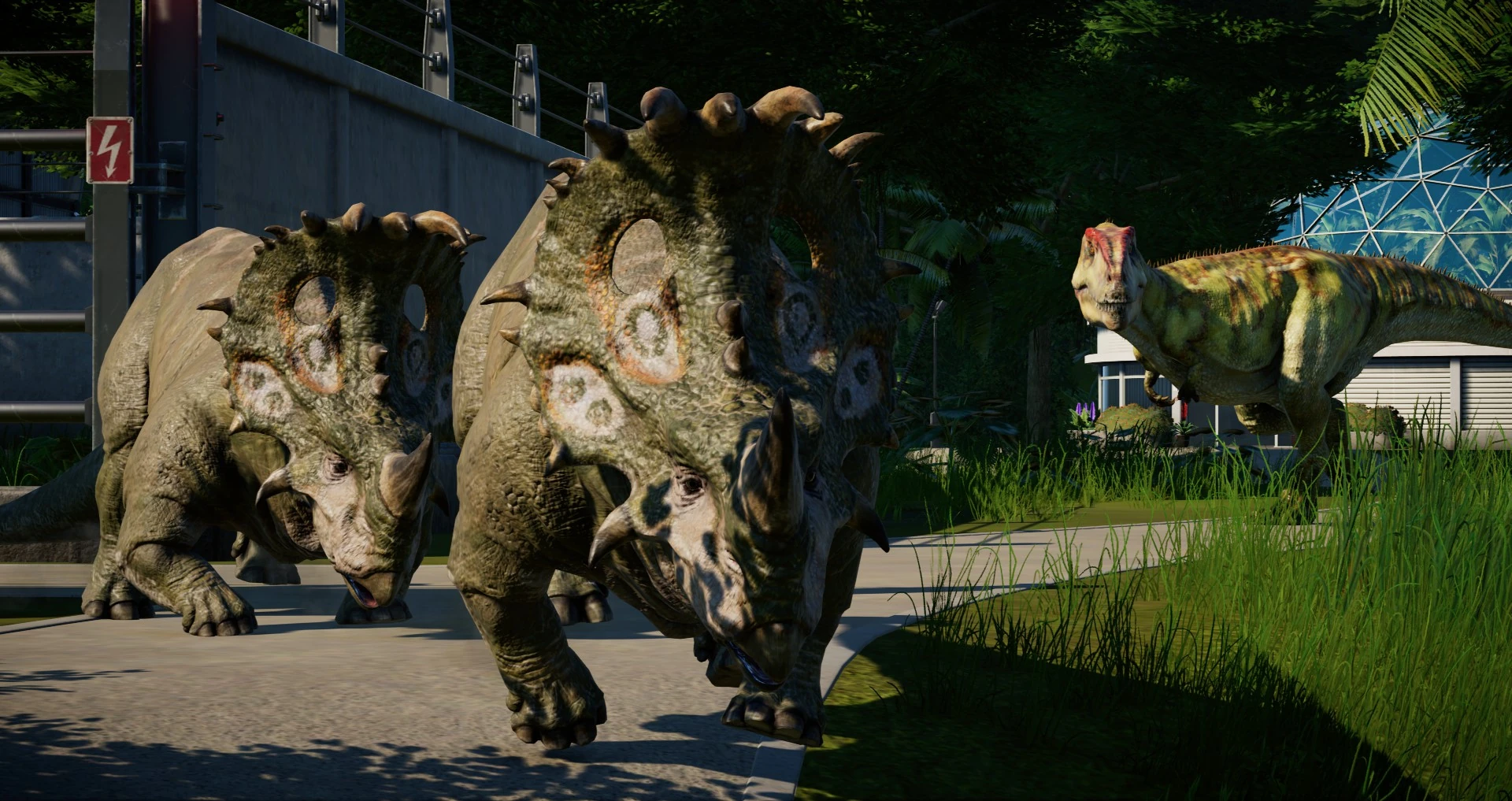 JWE2 organism | Fandom