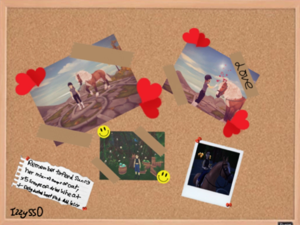 SSO Cork/Pin Boards! | Fandom