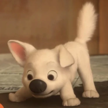 Bolt Puppy Pics #6. Which picture is the best out of these? | Fandom