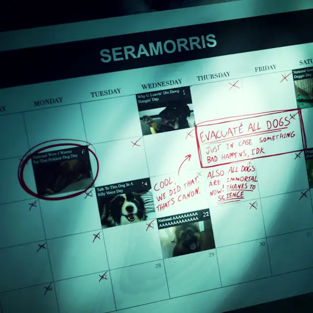 Release of episode 8 | Fandom